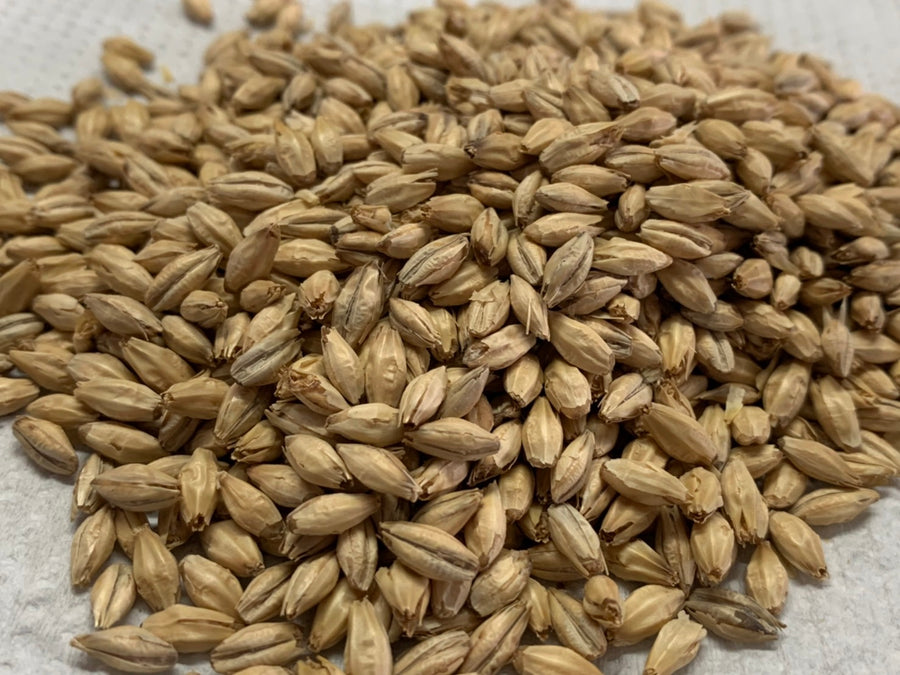 ABOUT – Brewlab108